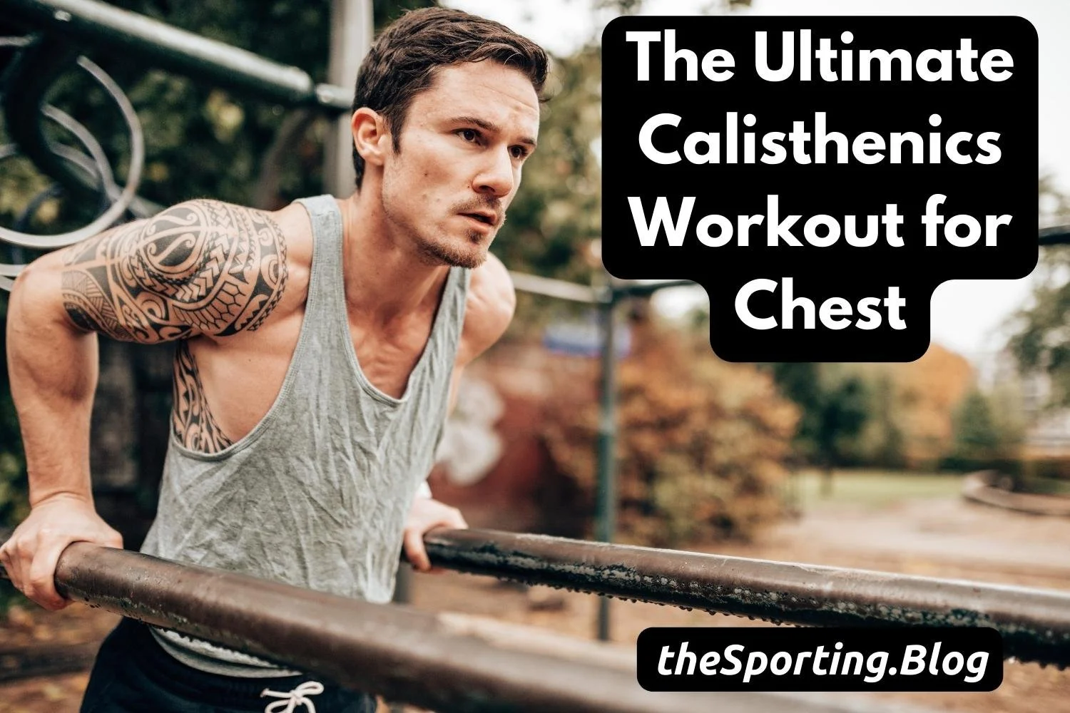 The Ultimate Calisthenics Exercises for a Great Chest Workout — The Sporting Blog