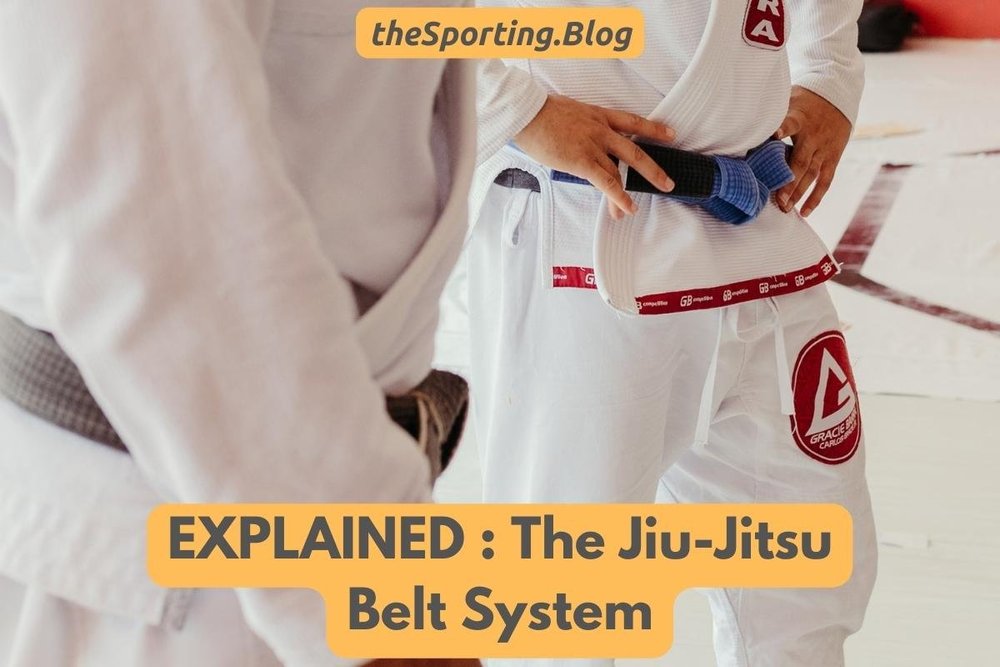 A Guide to Jiu-Jitsu Rankings and Belt Order — The Sporting Blog