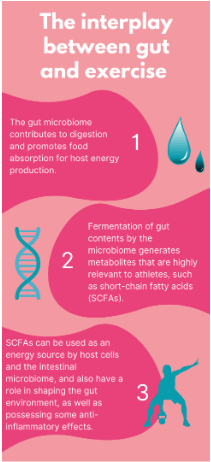 Interplay Between Exercise and Gut Health: How to Improve Exercise with ...