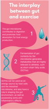 Interplay Between Exercise and Gut Health: How to Improve Exercise with ...