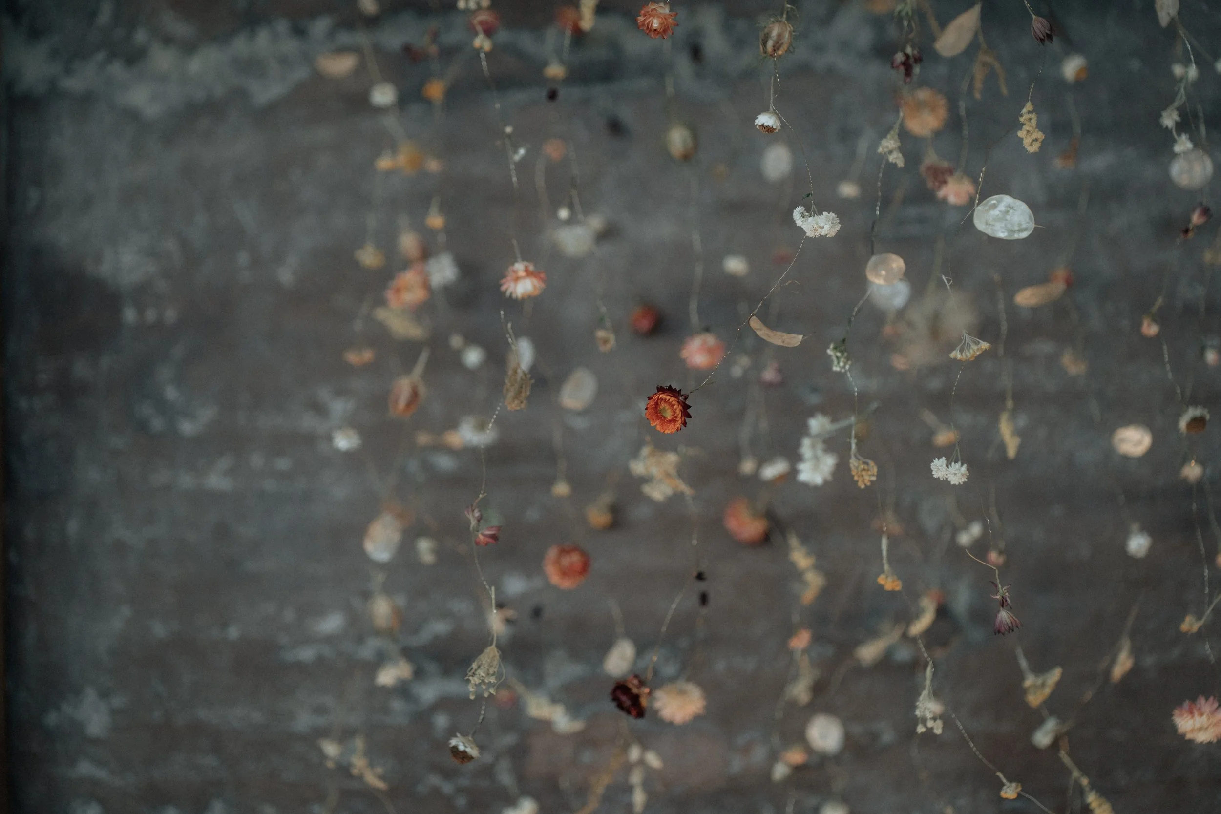 Floral Strings | Botanical Tales