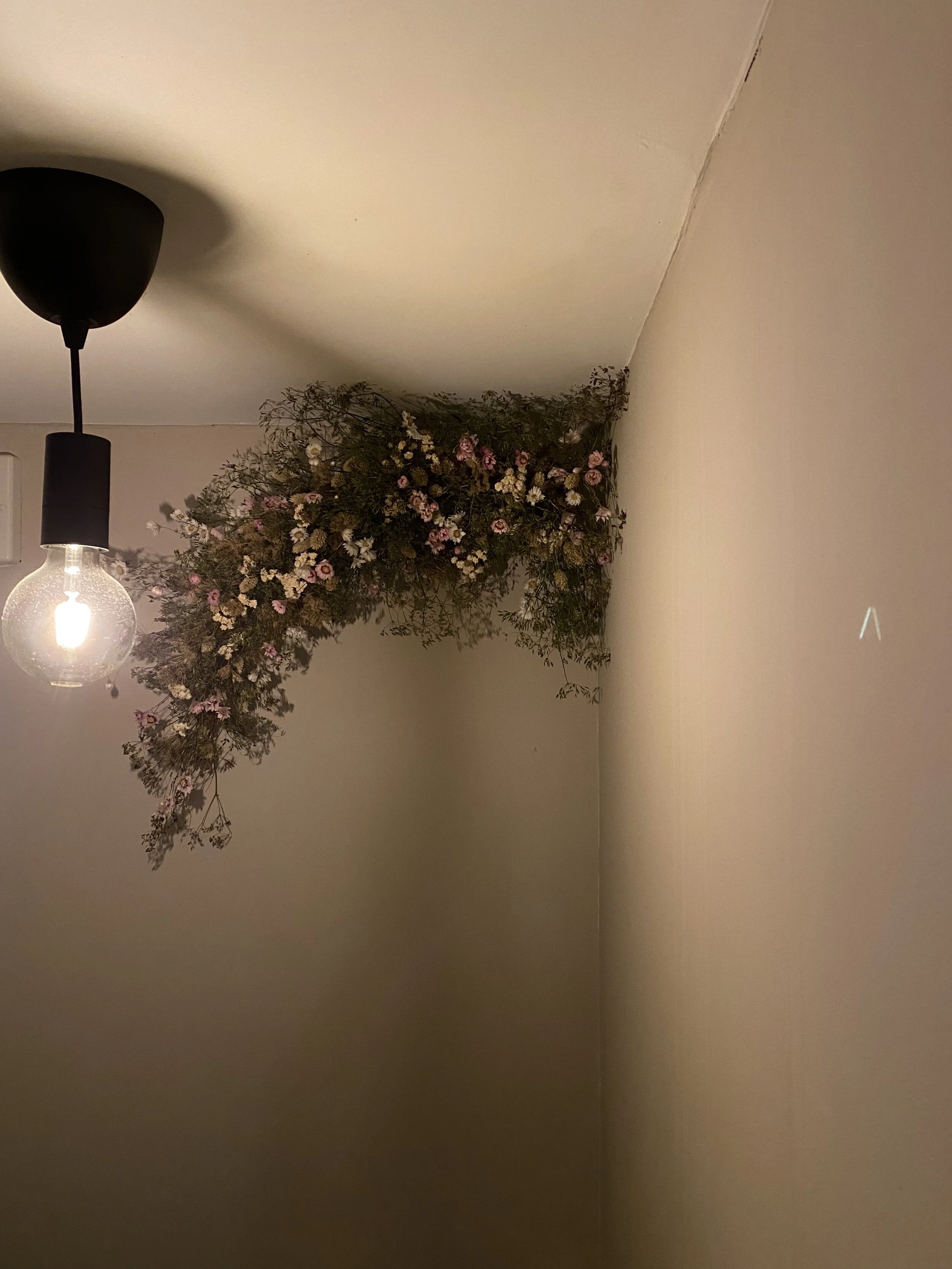 Floral Installations | Botanical Tales