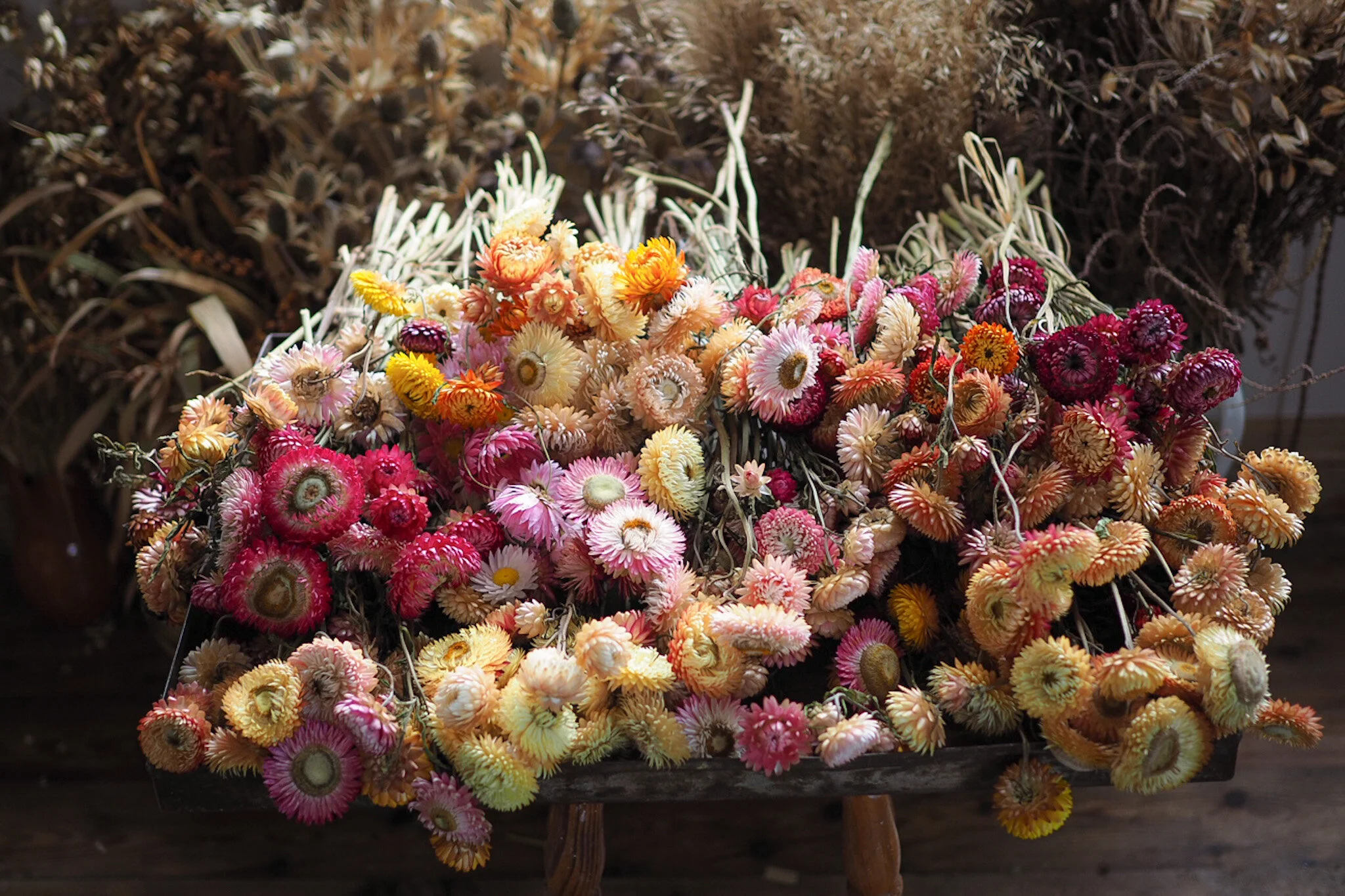 Dried Flower Workshops - Private 1:1 | Botanical Tales