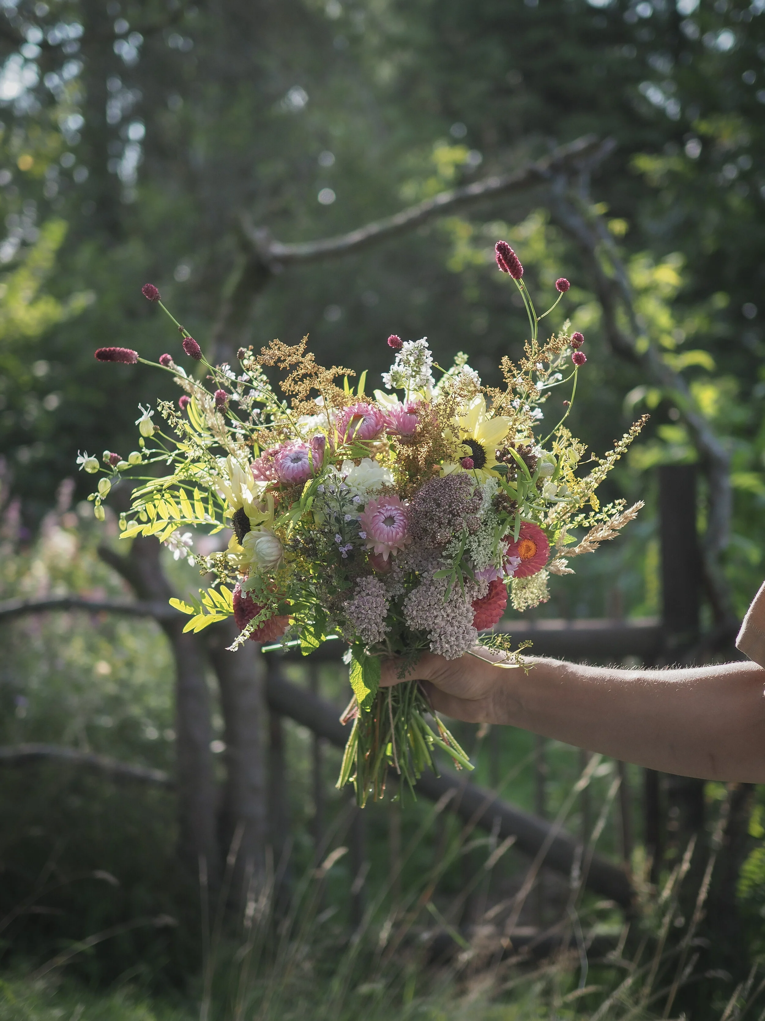 Botanical Tales | Floral Installation Artist