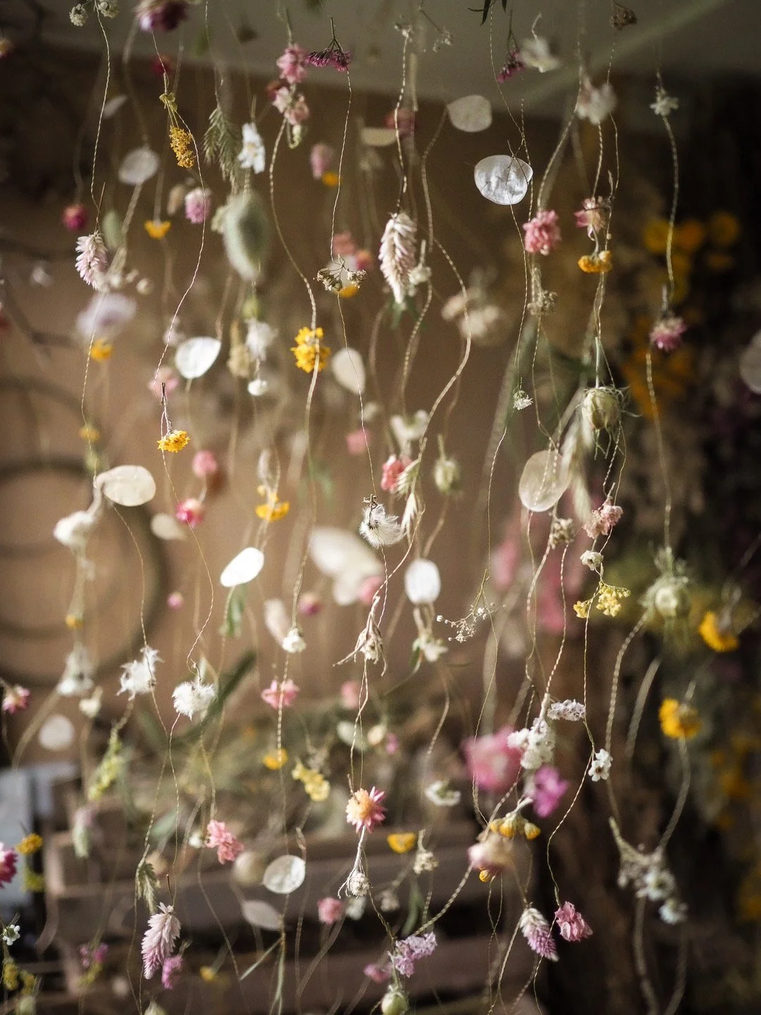 Floral Strings | Botanical Tales