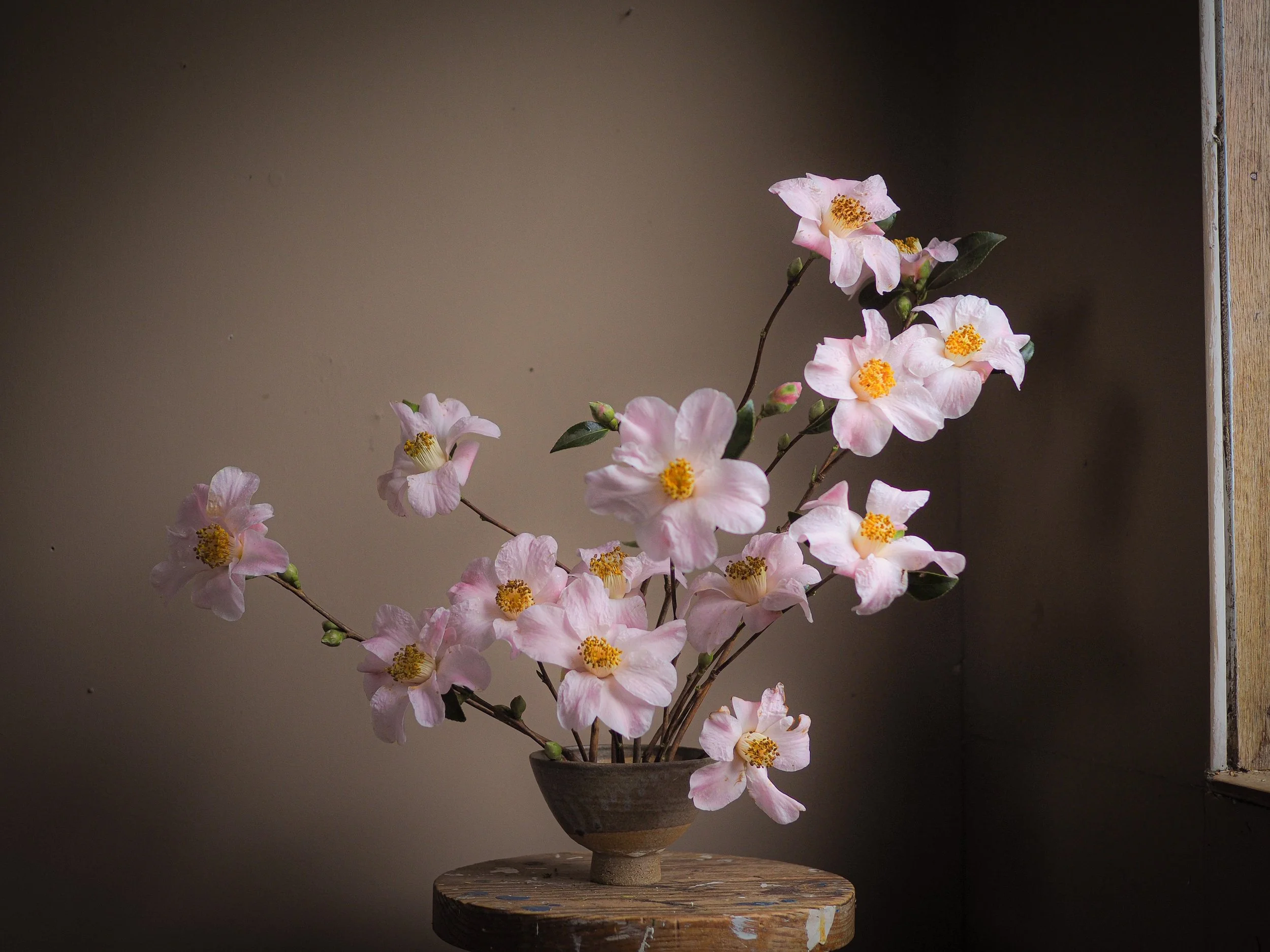Portfolio | Dried Flower Installations & Events | Botanical Tales