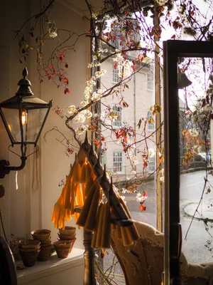 Floral Installations | Dried Flower Installations | Botanical Tales