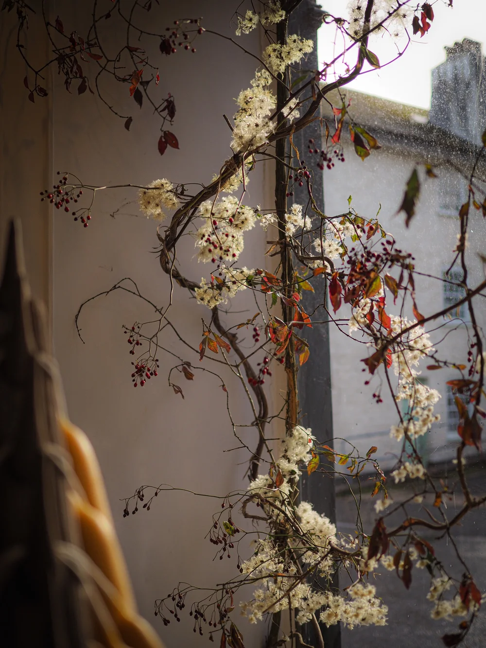 Portfolio | Dried Flower Installations & Events | Botanical Tales