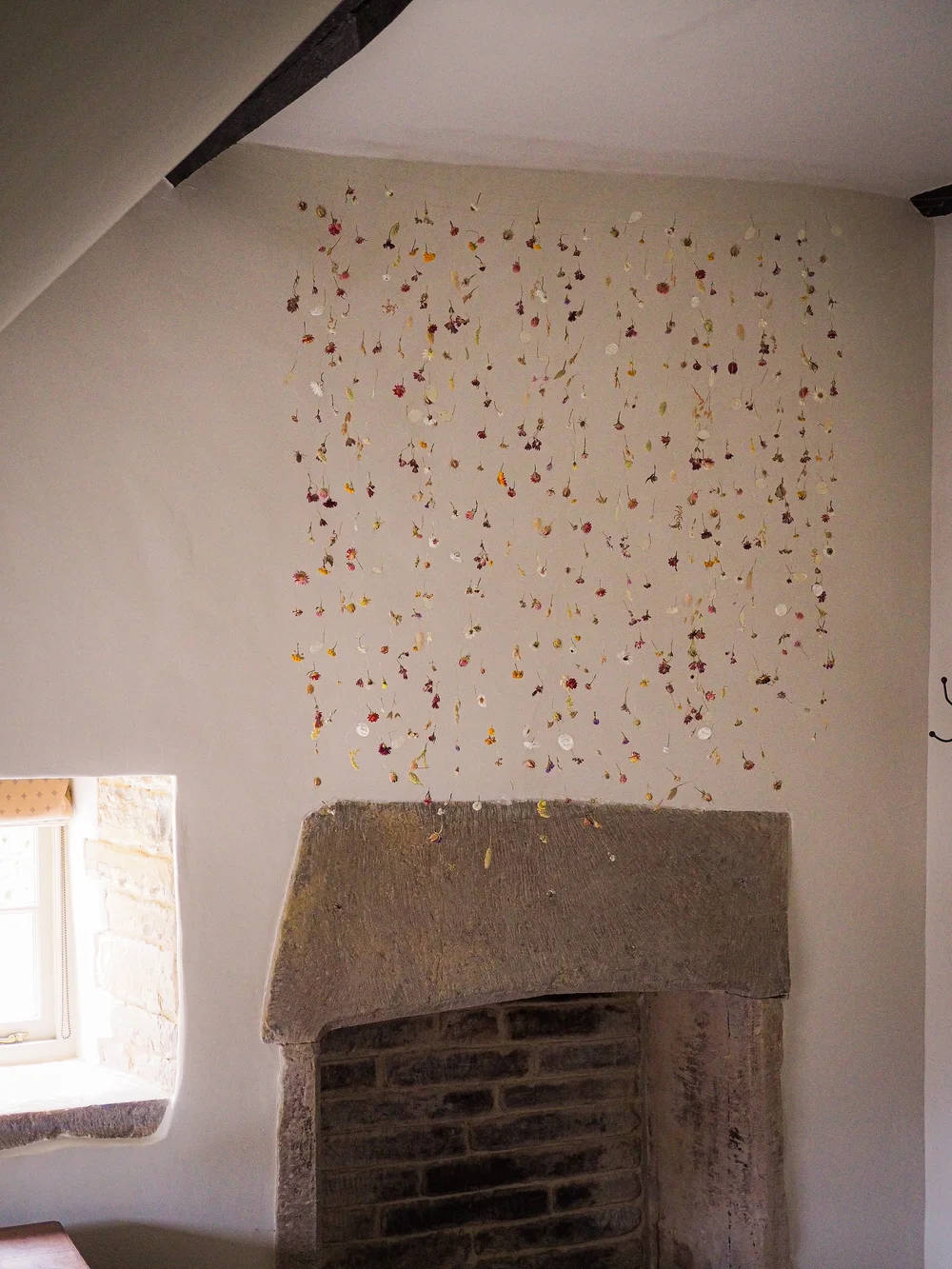 Floral Strings | Botanical Tales