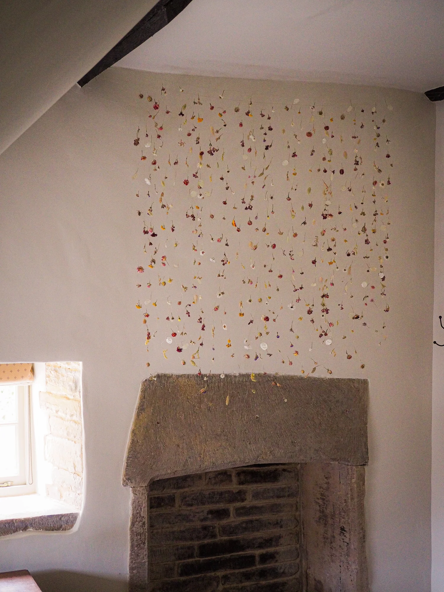 Floral Strings | Botanical Tales