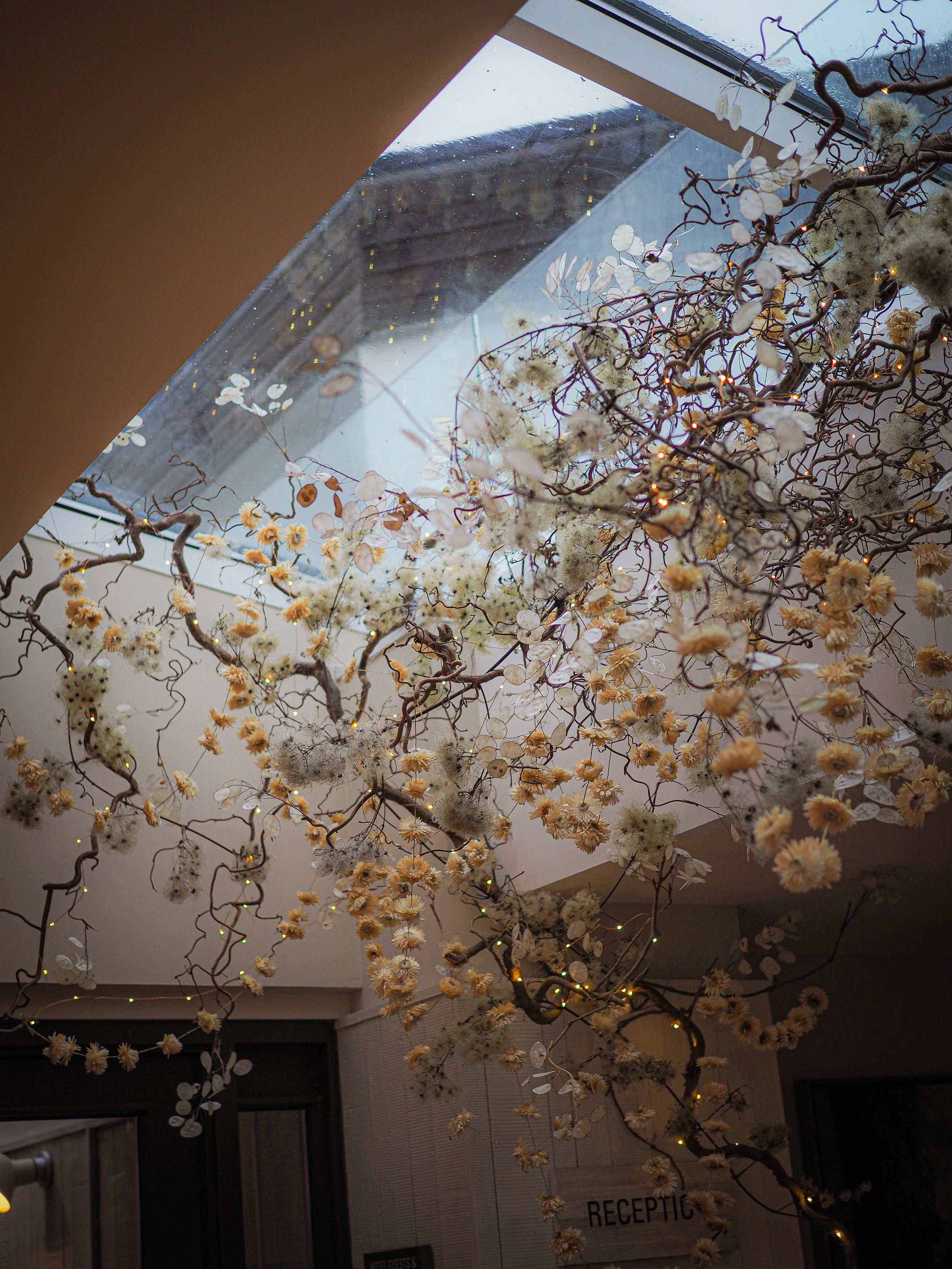 Portfolio | Dried Flower Installations & Events | Botanical Tales
