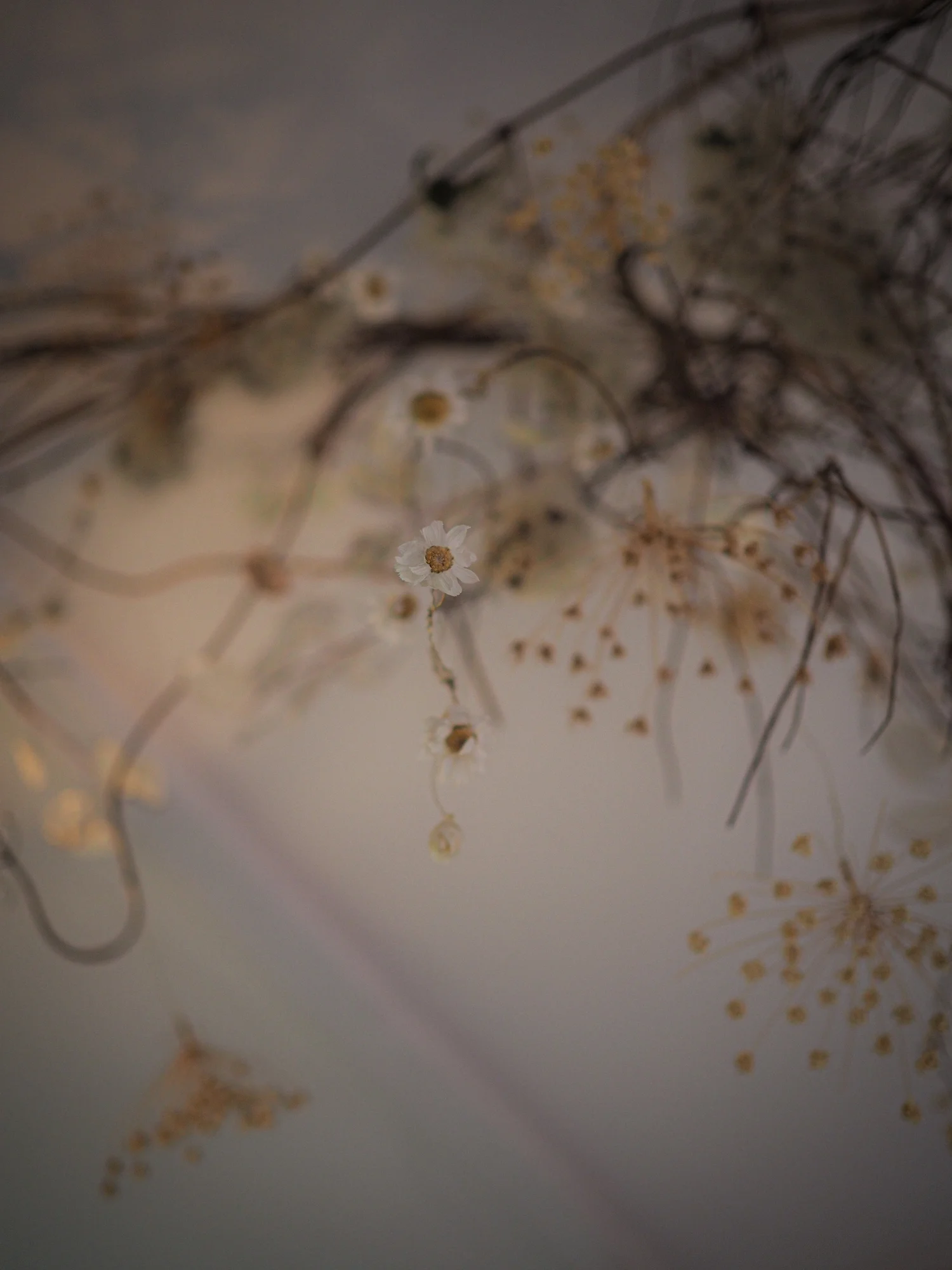 Portfolio | Dried Flower Installations & Events | Botanical Tales