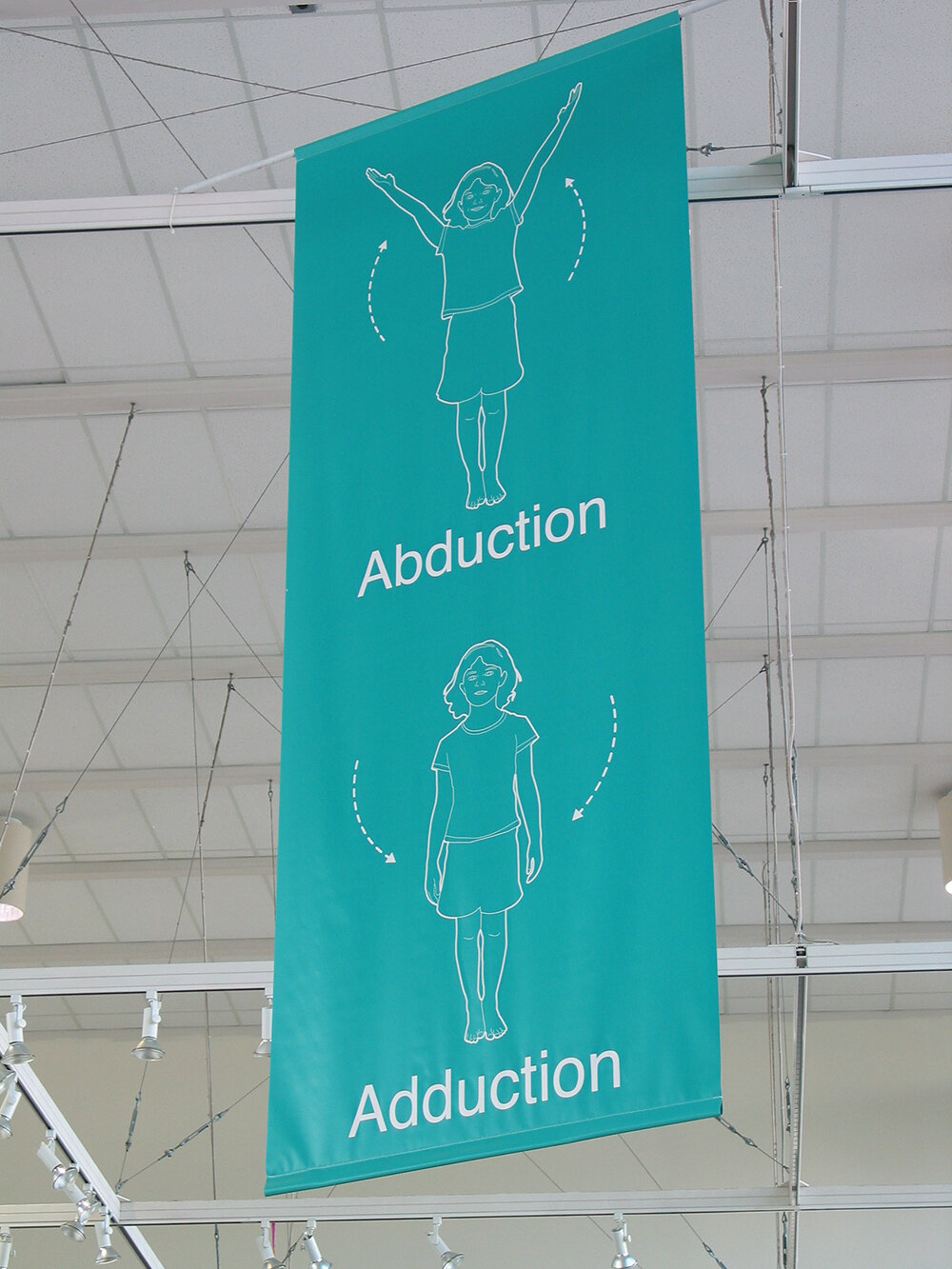 Joint Movement Banners — Curious Beast