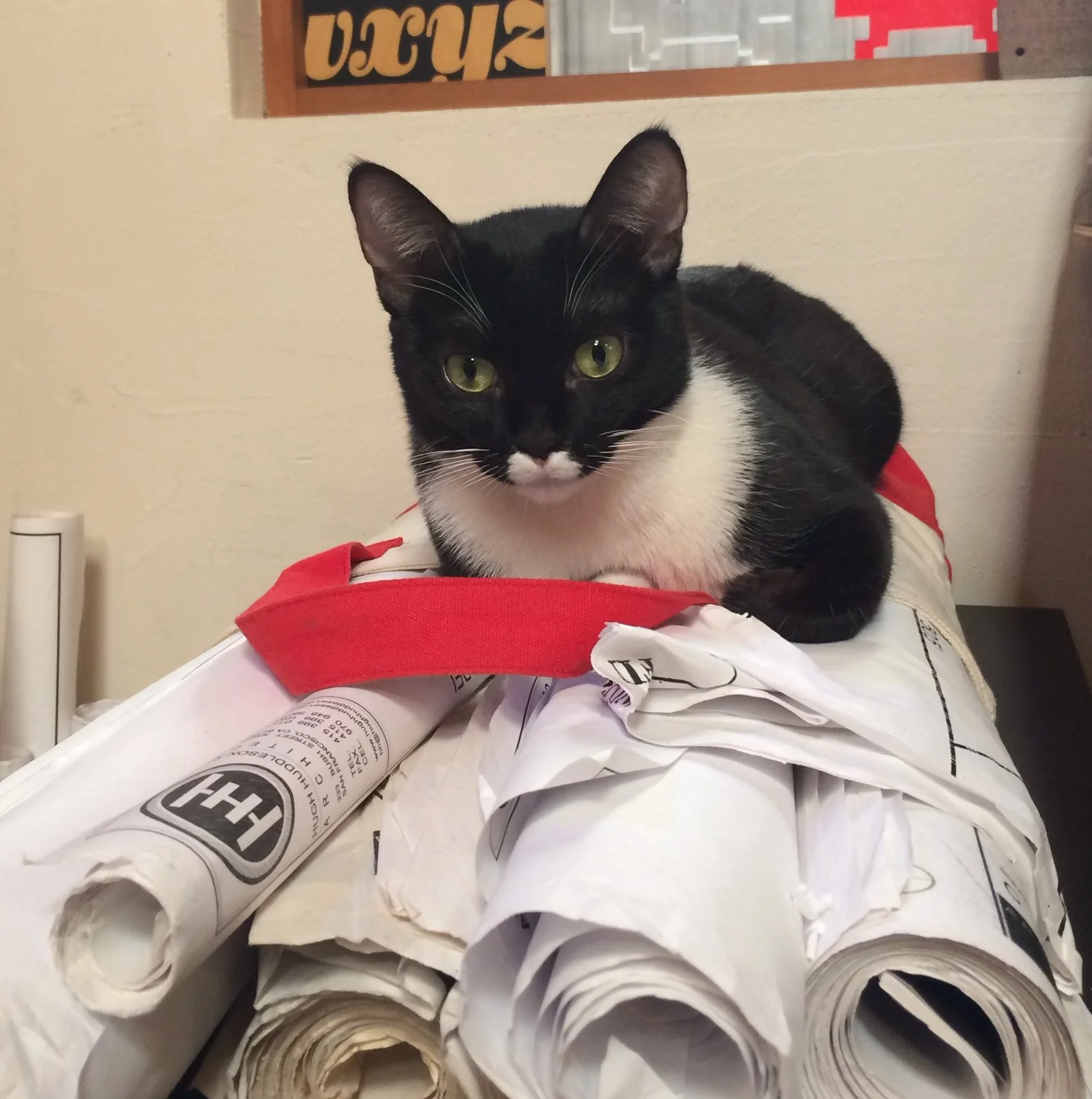 Hacking the Building Code: Part Four - Zoning & Occupancy — BWC