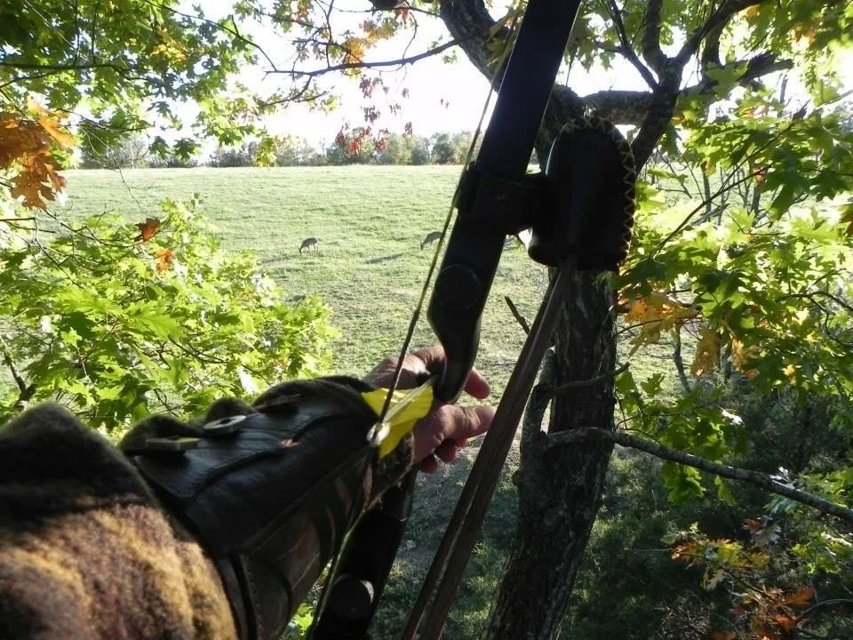 TimberGhost Traditional Archery