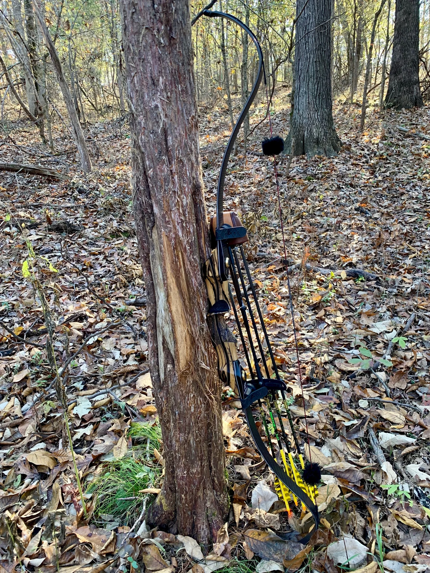 G3SS Takedown Recurve — TimberGhost Traditional Archery