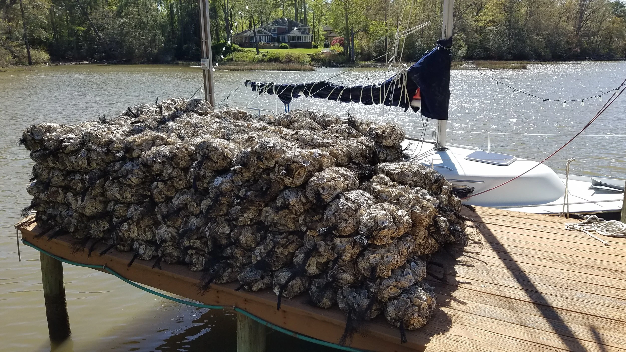 News — fisherscreeknn.org