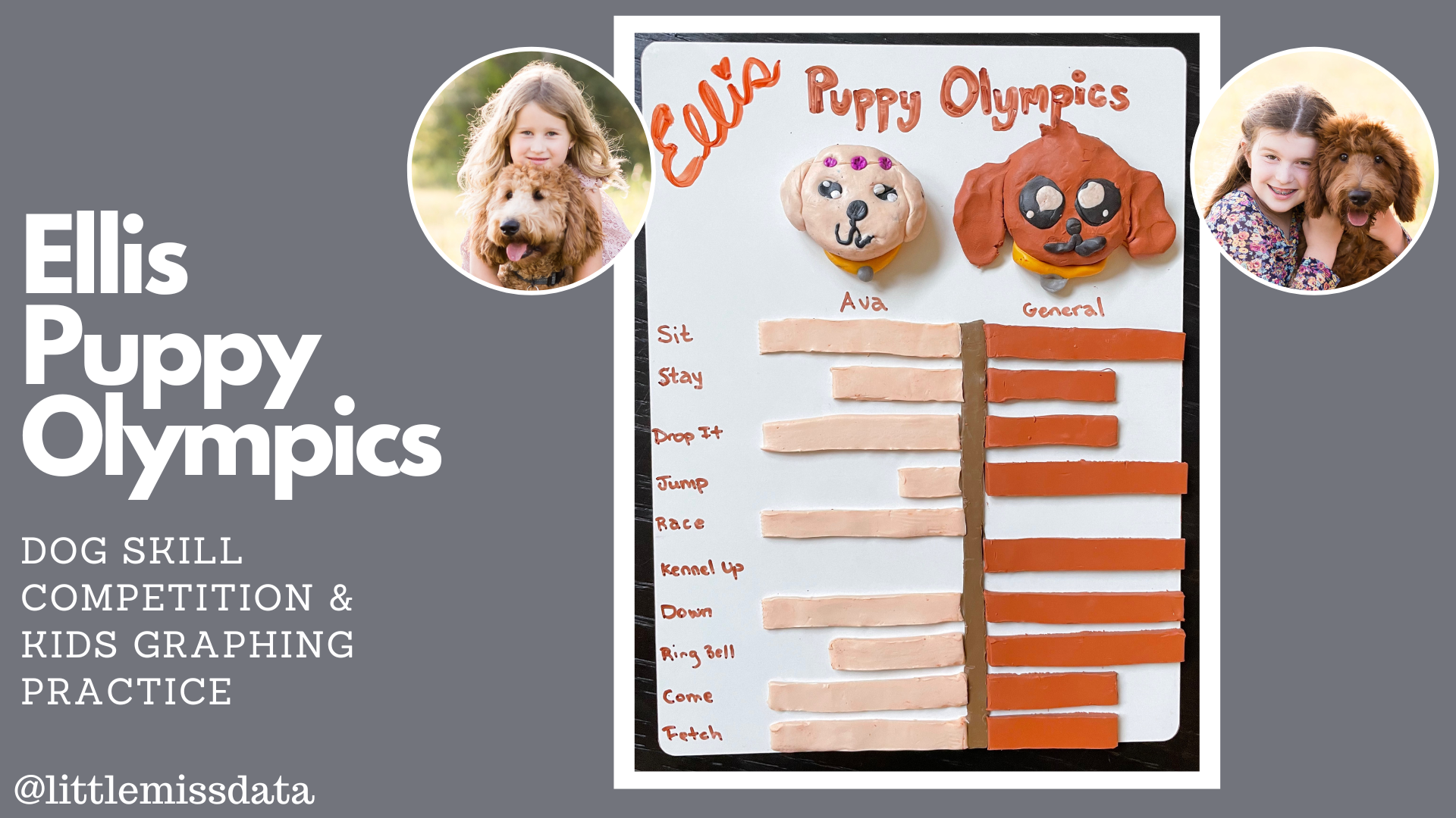 Nightingale Kids Data Visualization Competition — Little Miss Data