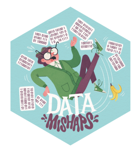 Year in Review — Little Miss Data
