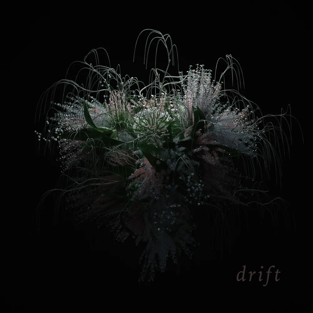 New Amsterdam Records - Daniel Wohl Drift