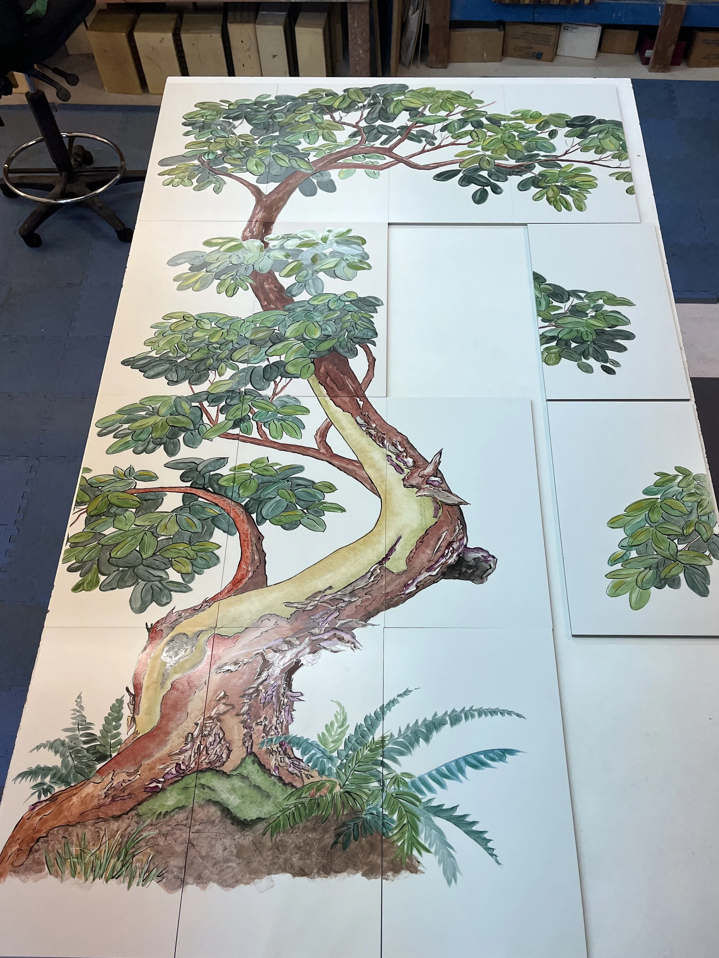 Madrone Trees — Paul Lewing Custom Tile