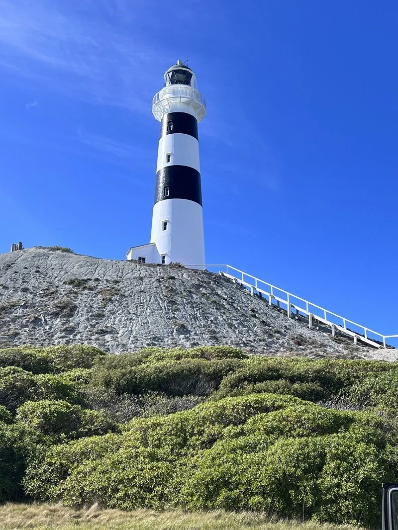 Safeguarding a coastal ecosystem of significance — The Marlborough Research Centre Trust