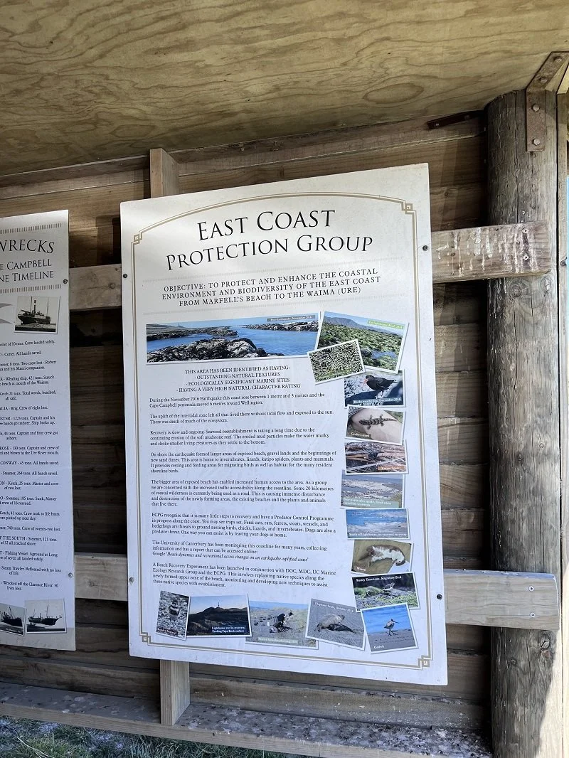 Safeguarding a coastal ecosystem of significance — The Marlborough ...