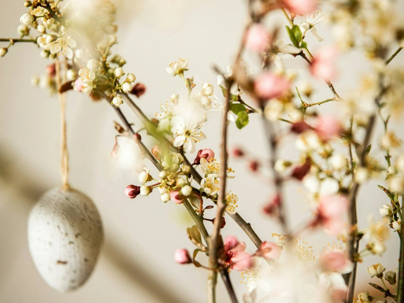 ABOUT OUR MENUS — Del Mar Restaurant