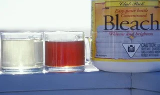 Safe Drinking Water Team