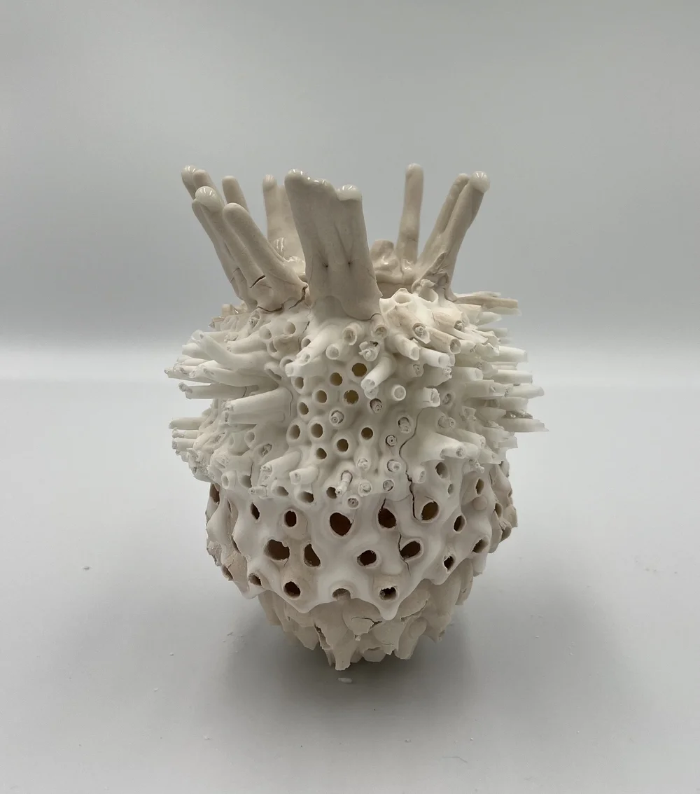 Windfall Light — ORIEL Q GALLERY