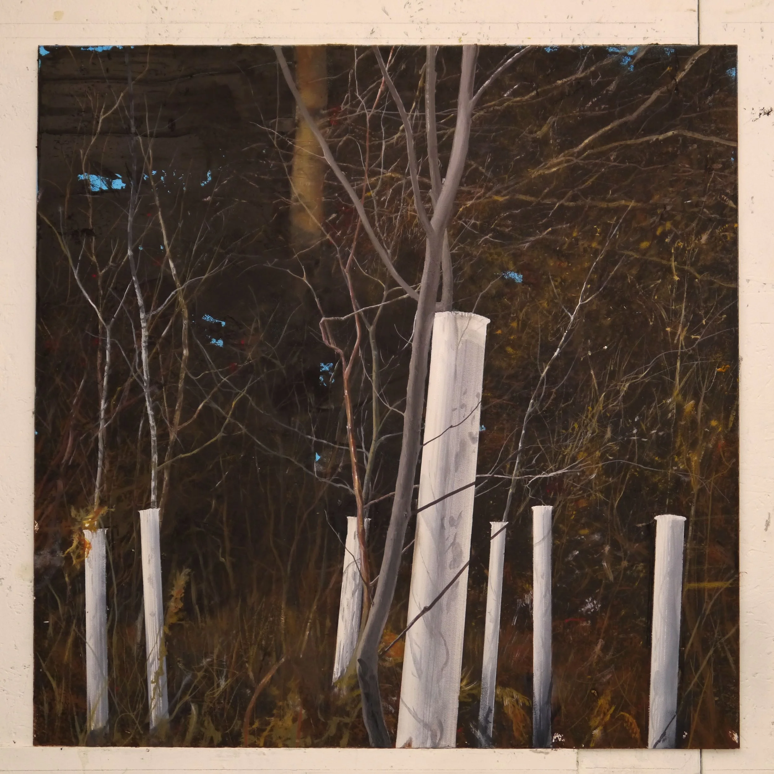 Clive Walley — ORIEL Q GALLERY