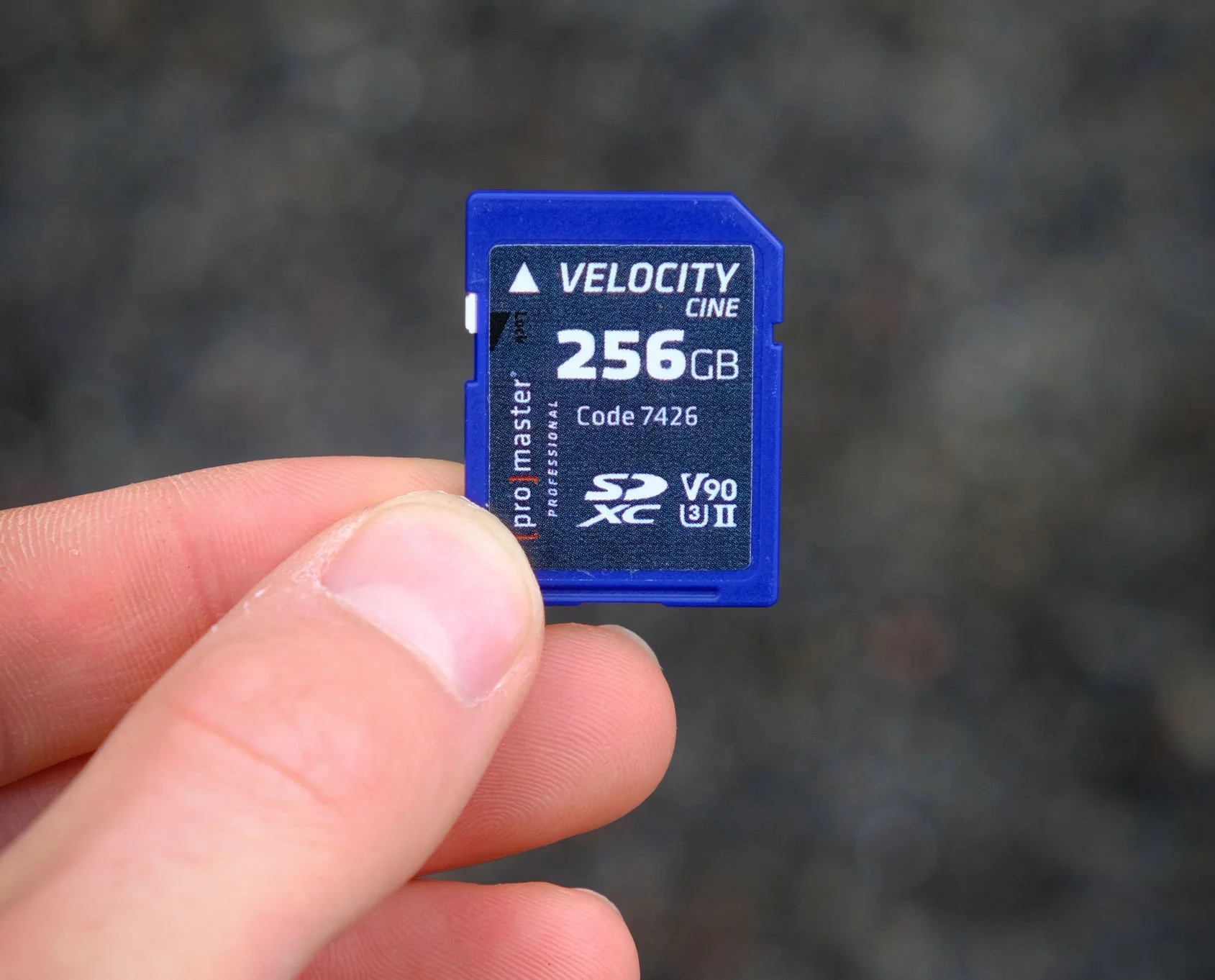 Selecting the Right SD Card — PROMASTER BLOG