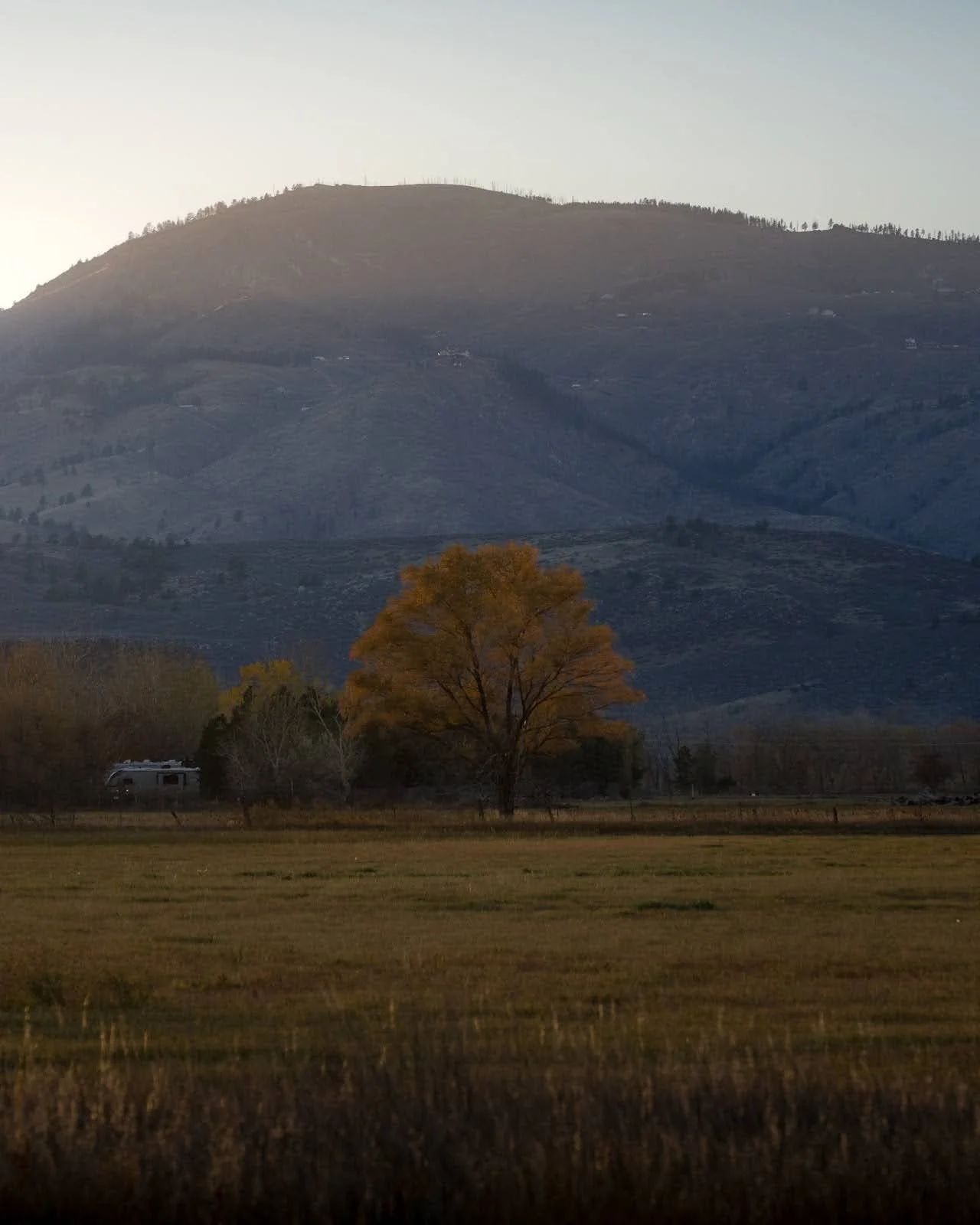 Chasing the Right Light: Why Golden Hour is Best — PROMASTER BLOG