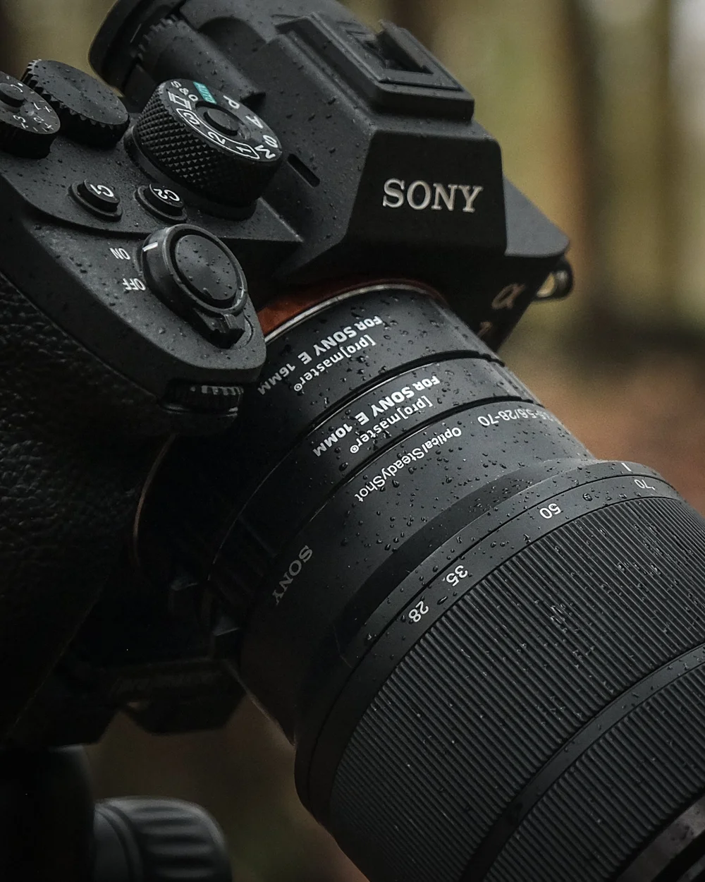 How to Capture Macro Photography — PROMASTER BLOG