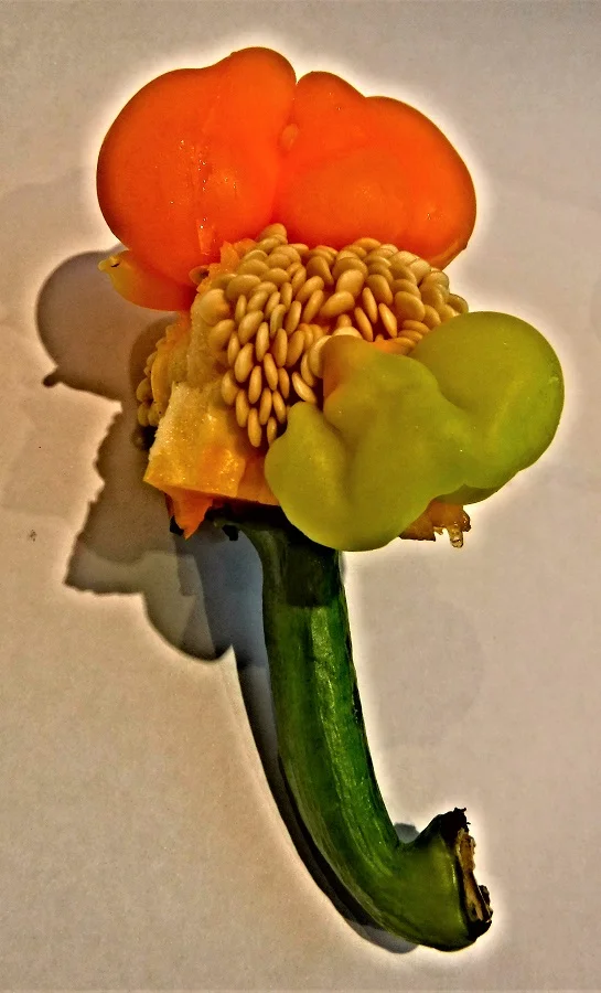 rude pepper — Jo Forrest - visual poetry