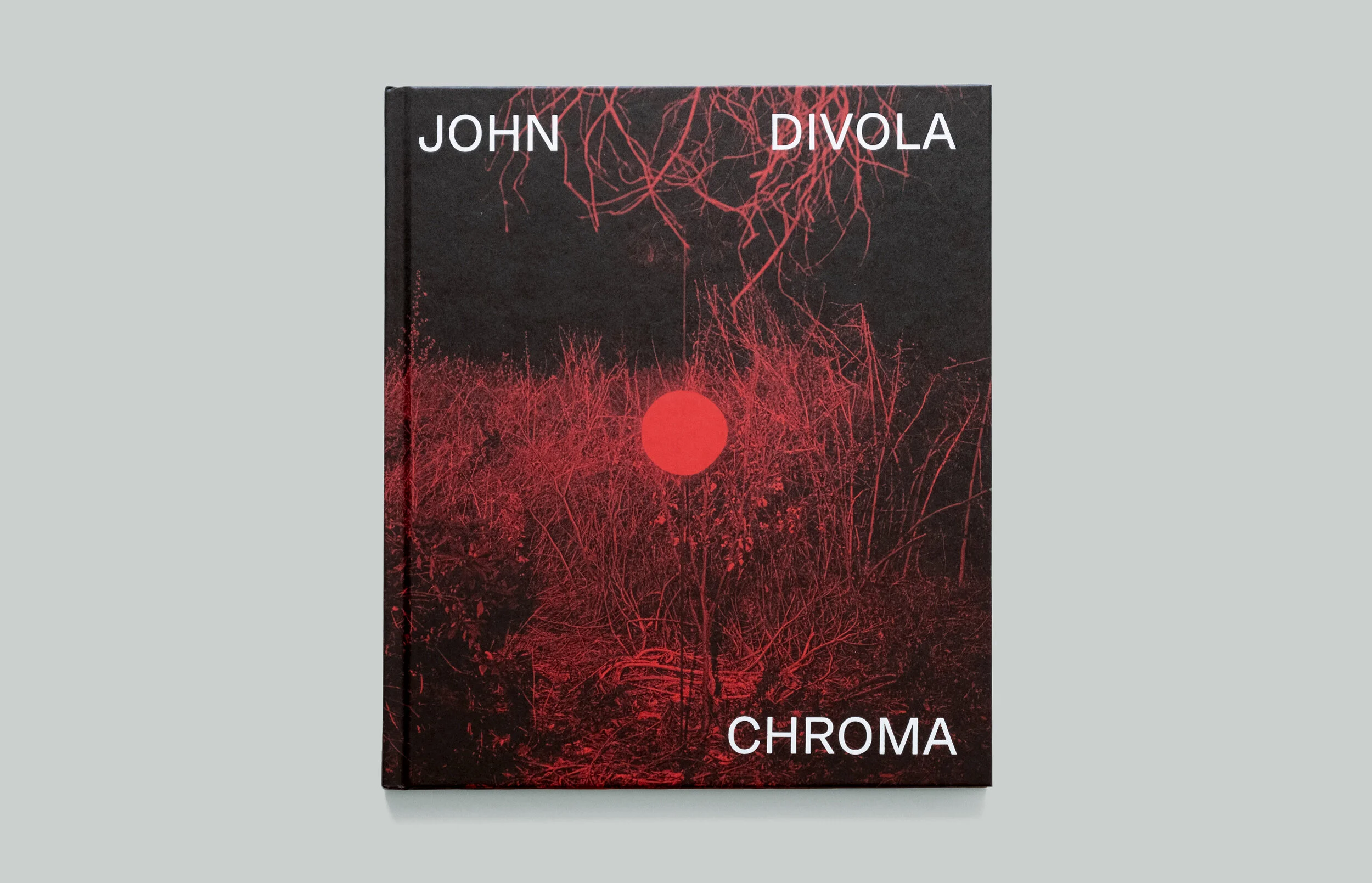 JOHN DIVOLA CHROMA — SKINNERBOOX