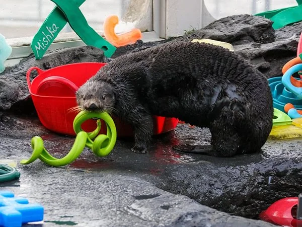 Sorry, Didn't Mean to Interrupt... Whatever It Is You're Doing There ...