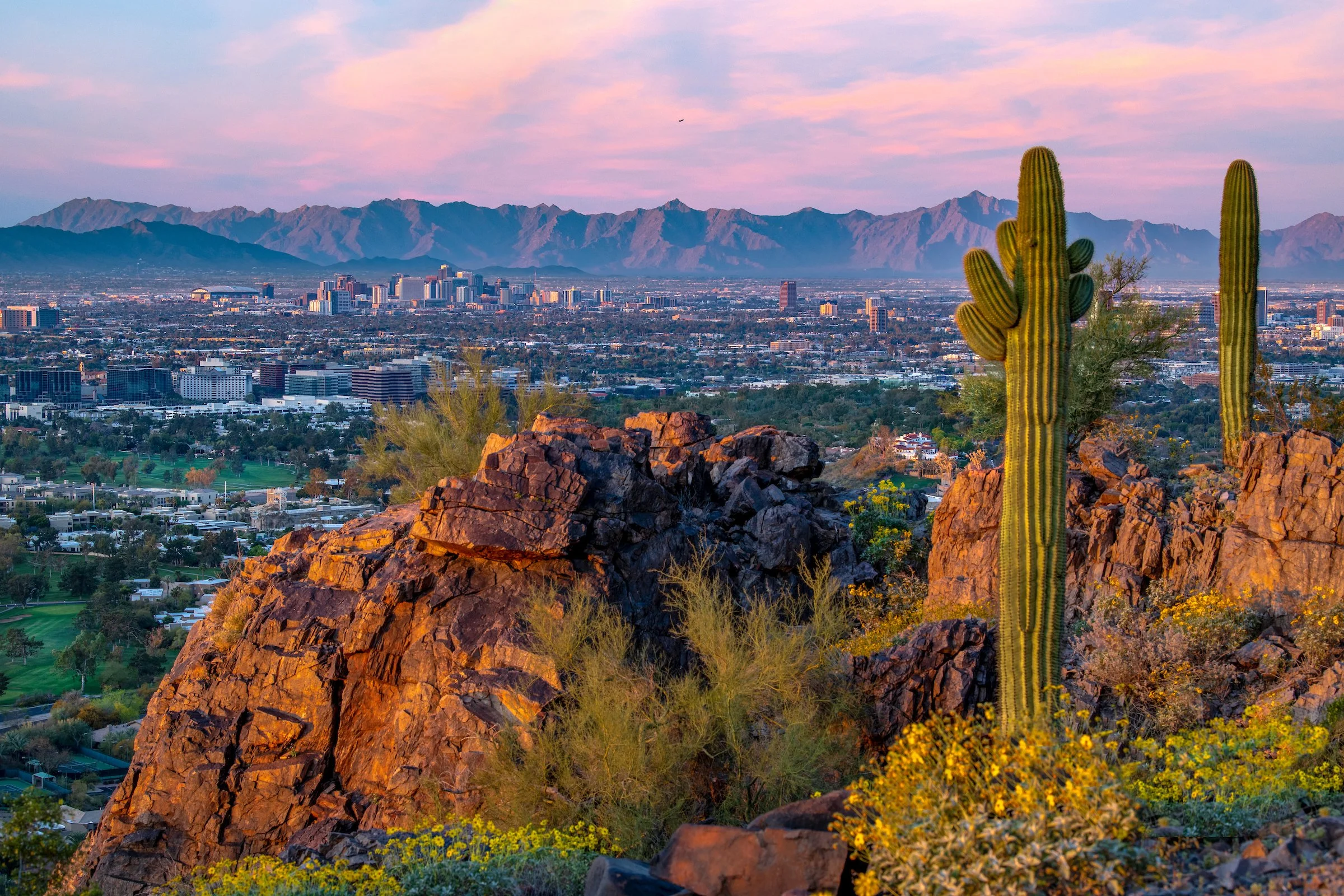 2025 Phoenix, AZ — NCVF