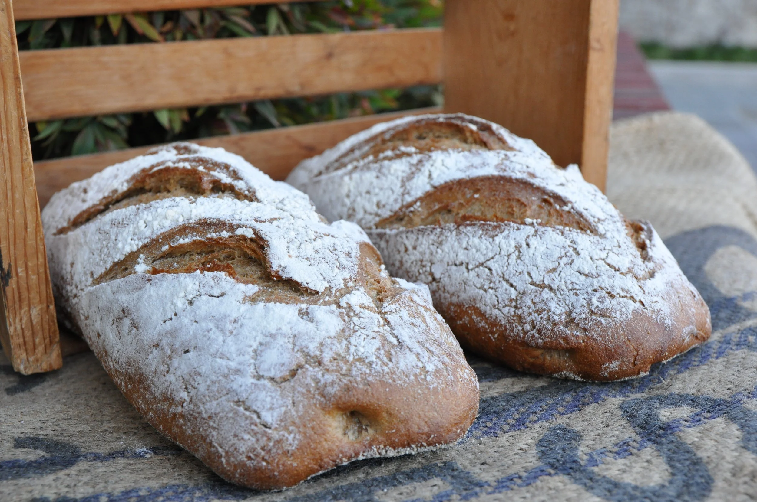 Bluff View Bakery — Bluff View Art District