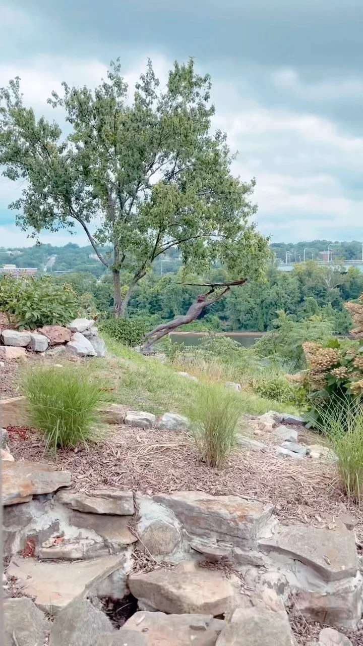 Bluff View Events — Bluff View Art District