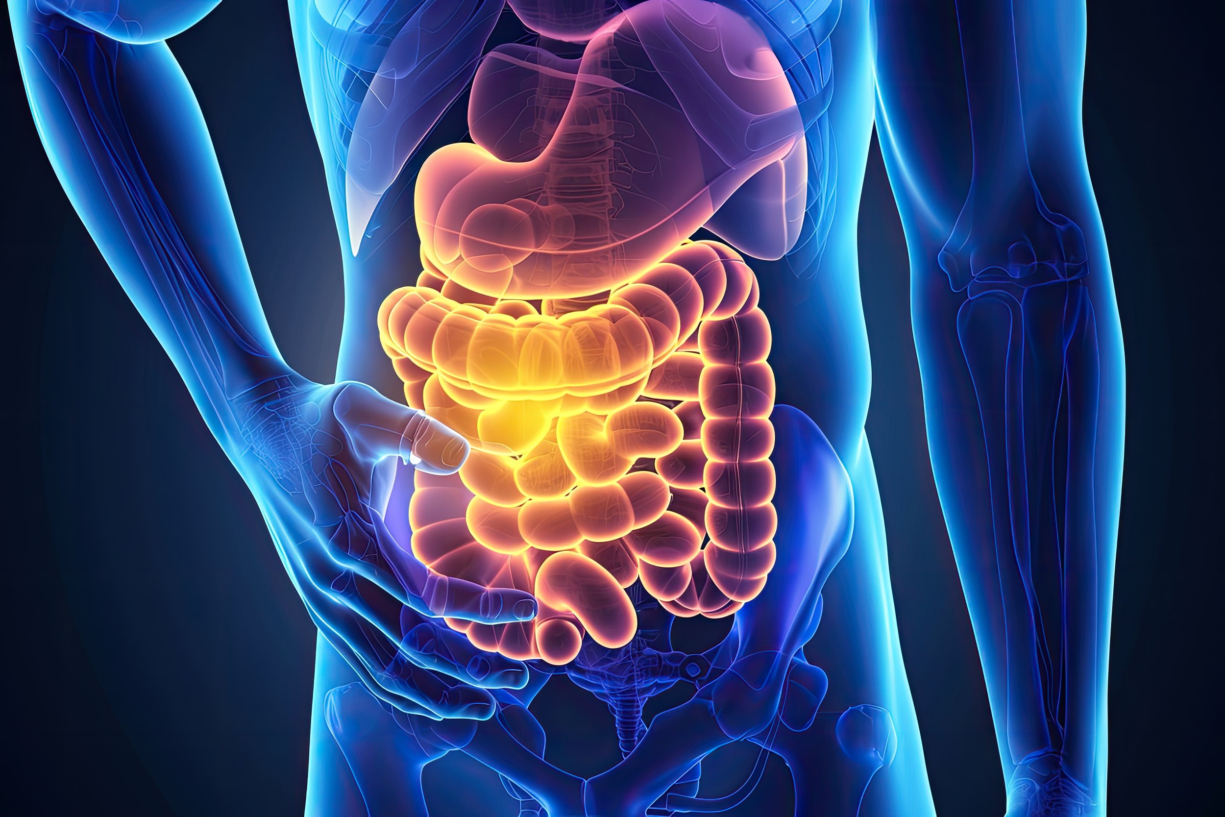 Crohns Disease 101 Understanding Crohns And Your Treatment Options — Colorectal Clinic Of Tampa Bay