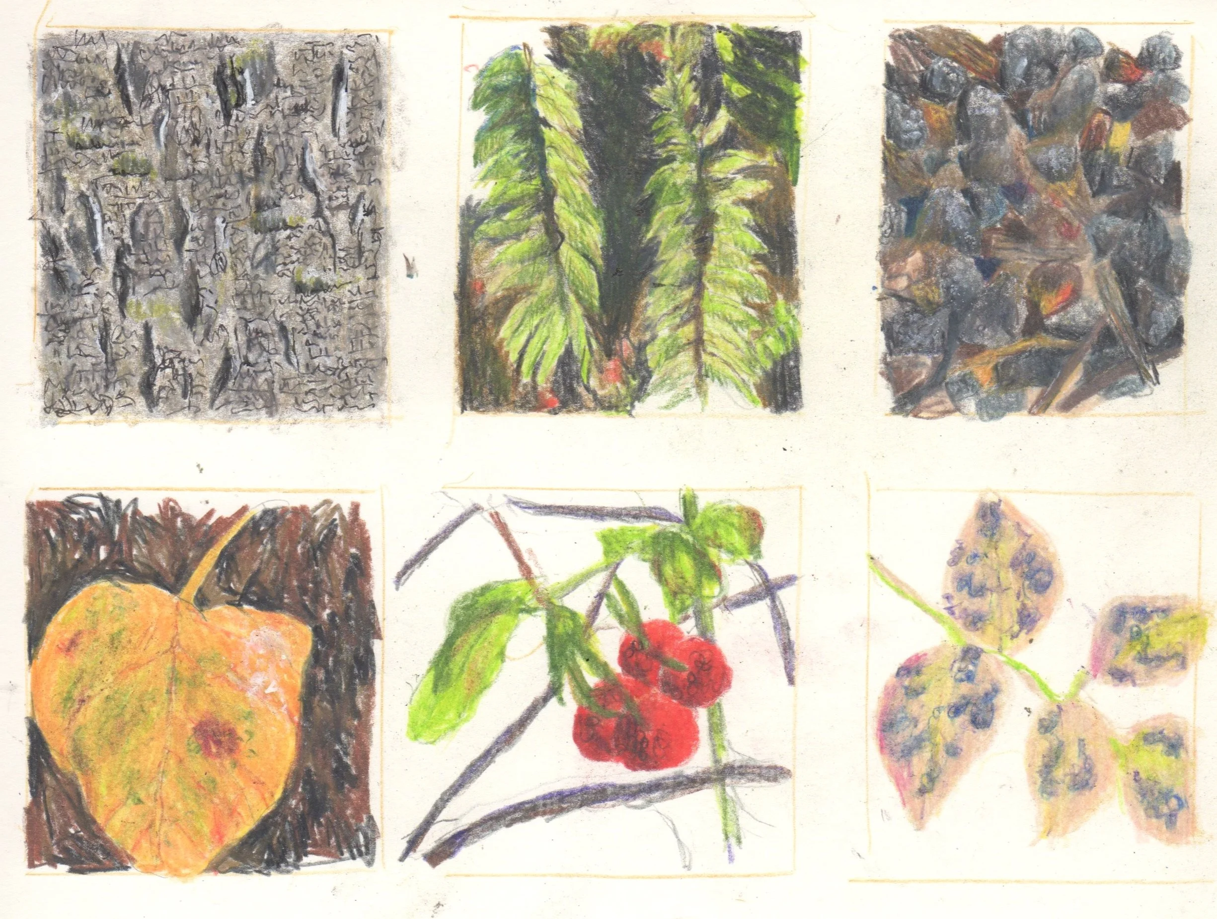 Trail textures — One Red Chair Studio
