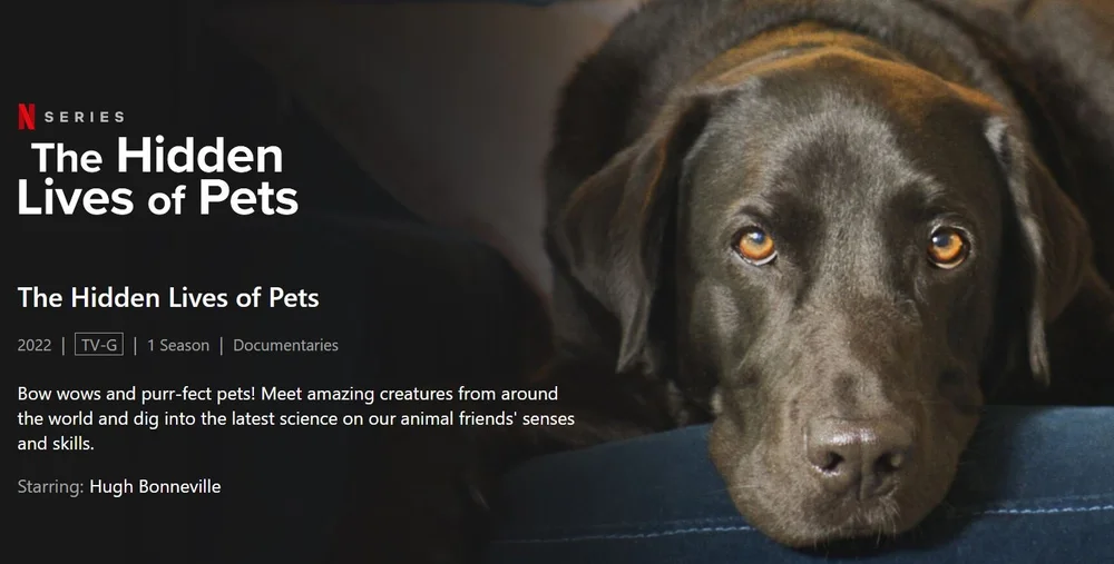 Neuroscience in the Media — Lambert Behavioral Neuroscience Laboratory