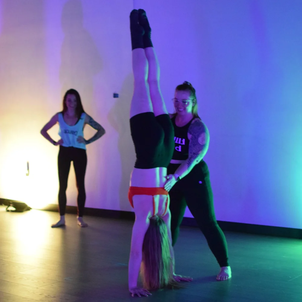 Class Descriptions — Muse Pole Fitness