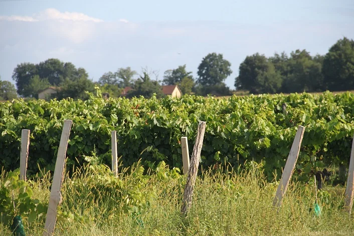 Le Domaine — Château de Ravignan