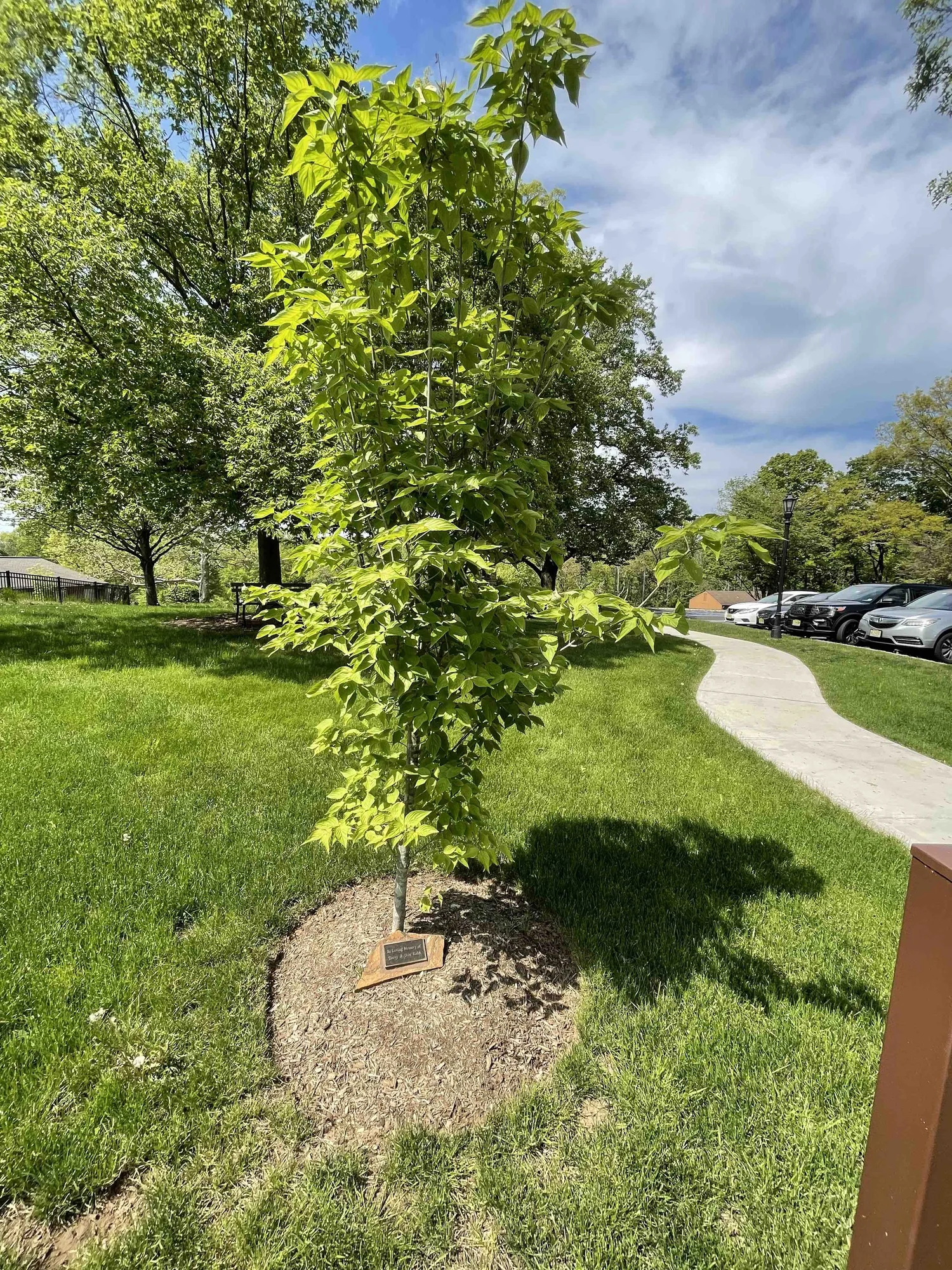 Shrine of Saint Joseph