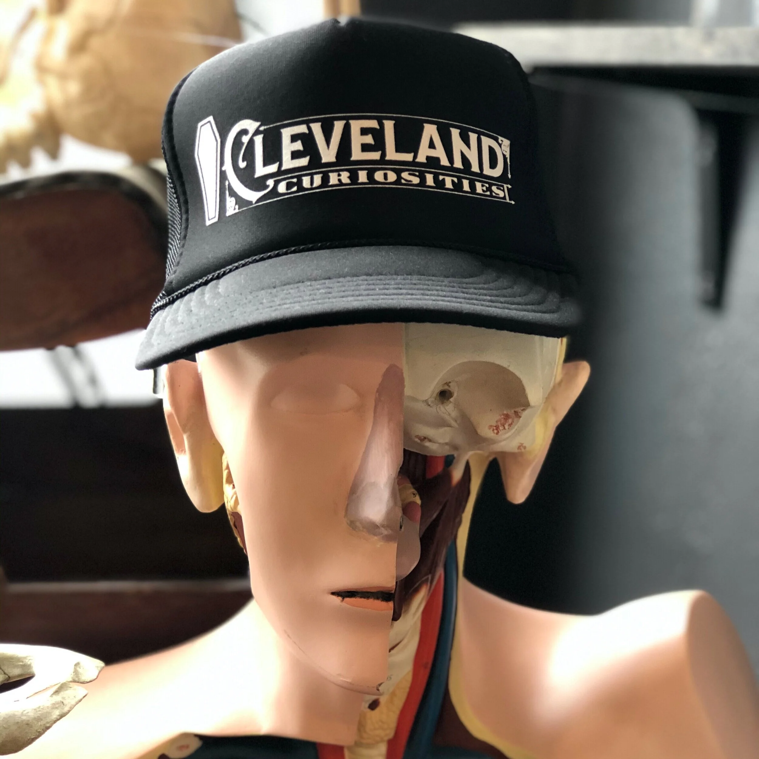 Shop — Cleveland Curiosities