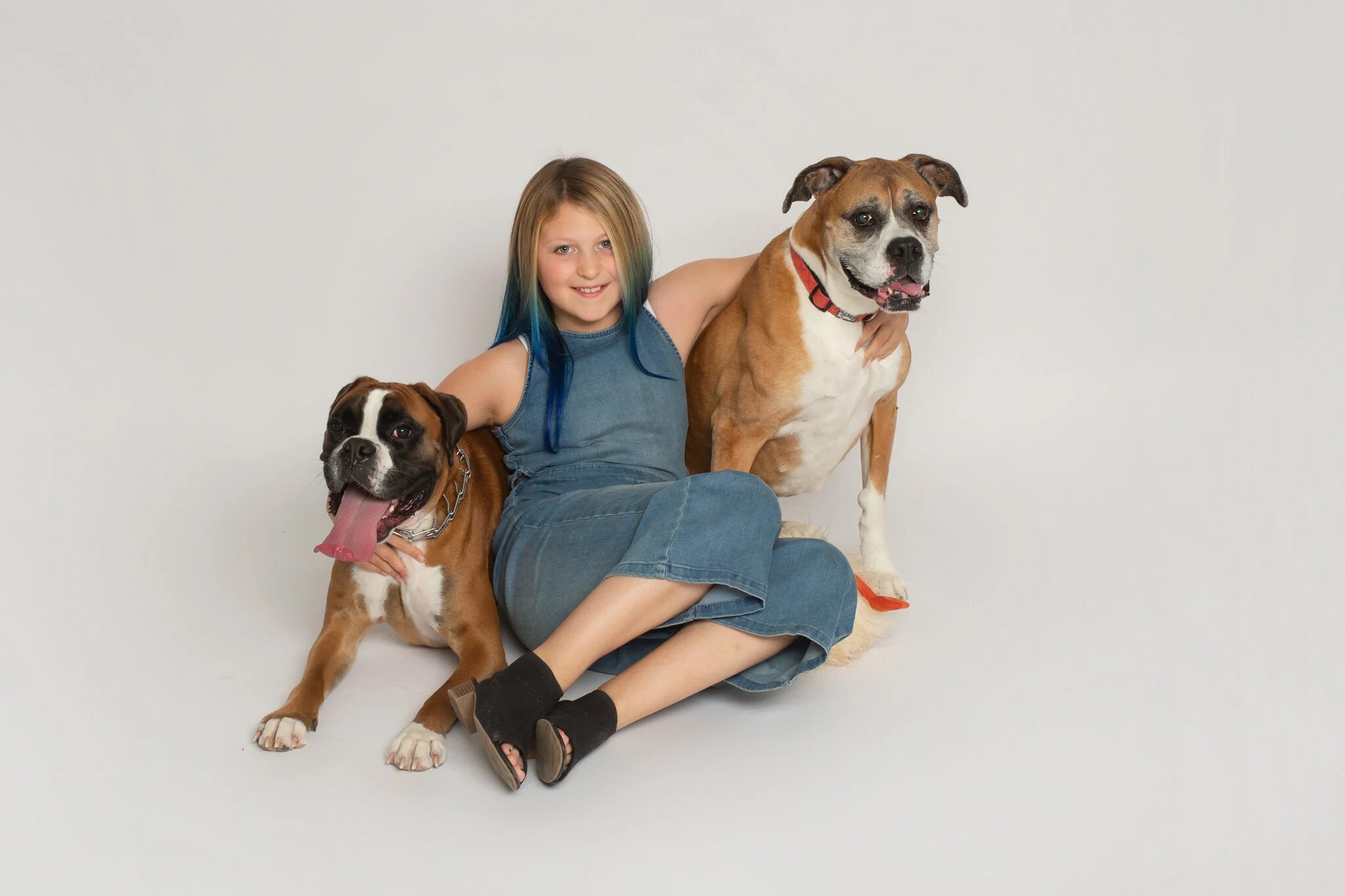 Seattle Pet Photography — Smallish