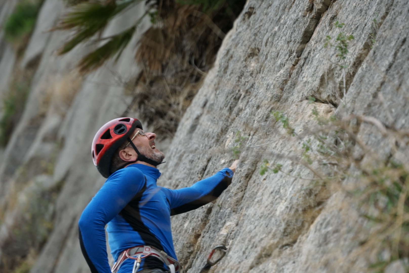 Gallery — Climb for Life