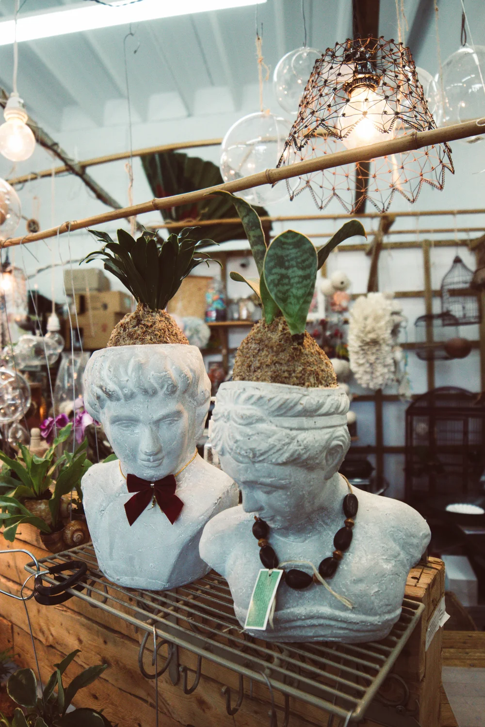 Root Orb & Care — Kreative Gardens